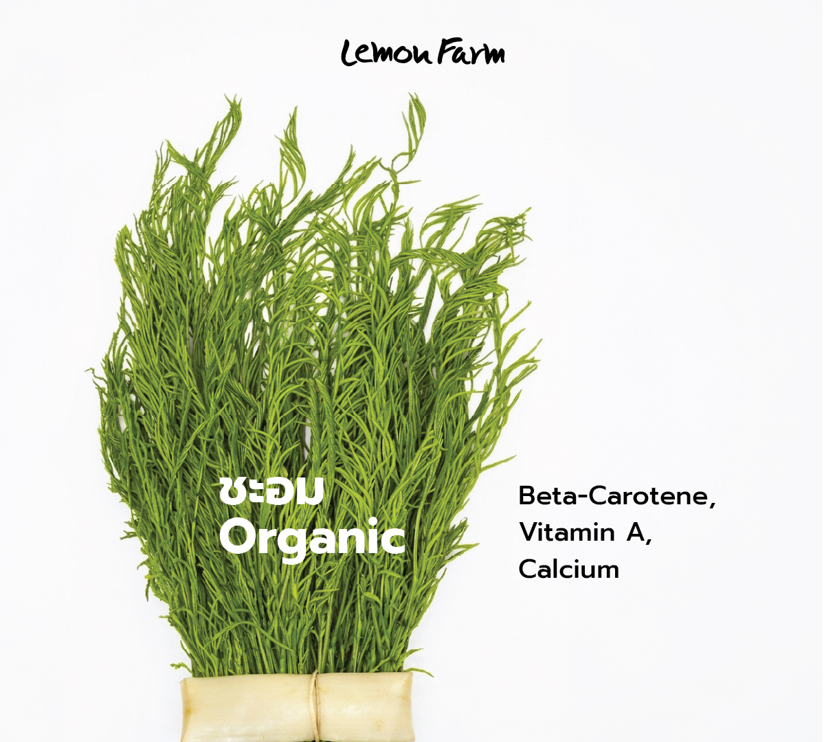 SEASONAL PRODUCT - LEMON FARM